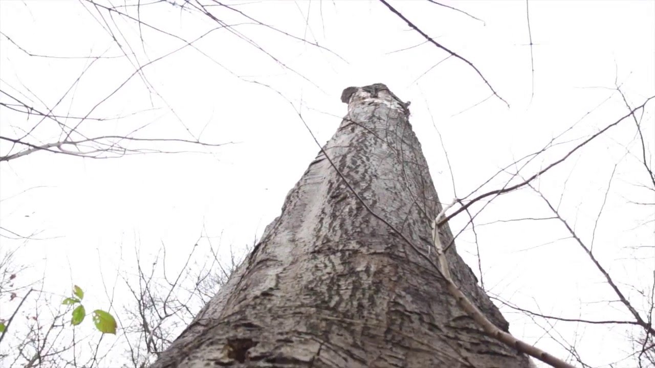 Endgame by Samuel Beckett -- a Theatrical Trailer - YouTube