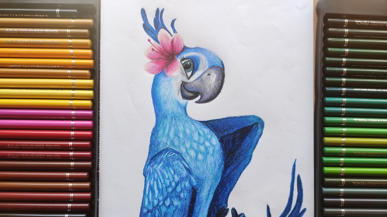 Drawing Jewel (Rio) - color pencil - YouTube