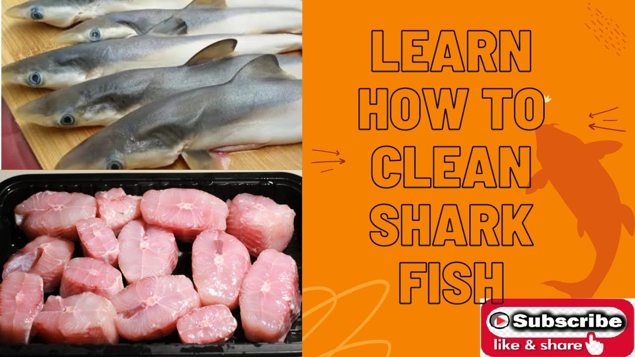 How to clean Shark fish or Mushi Fish - YouTube