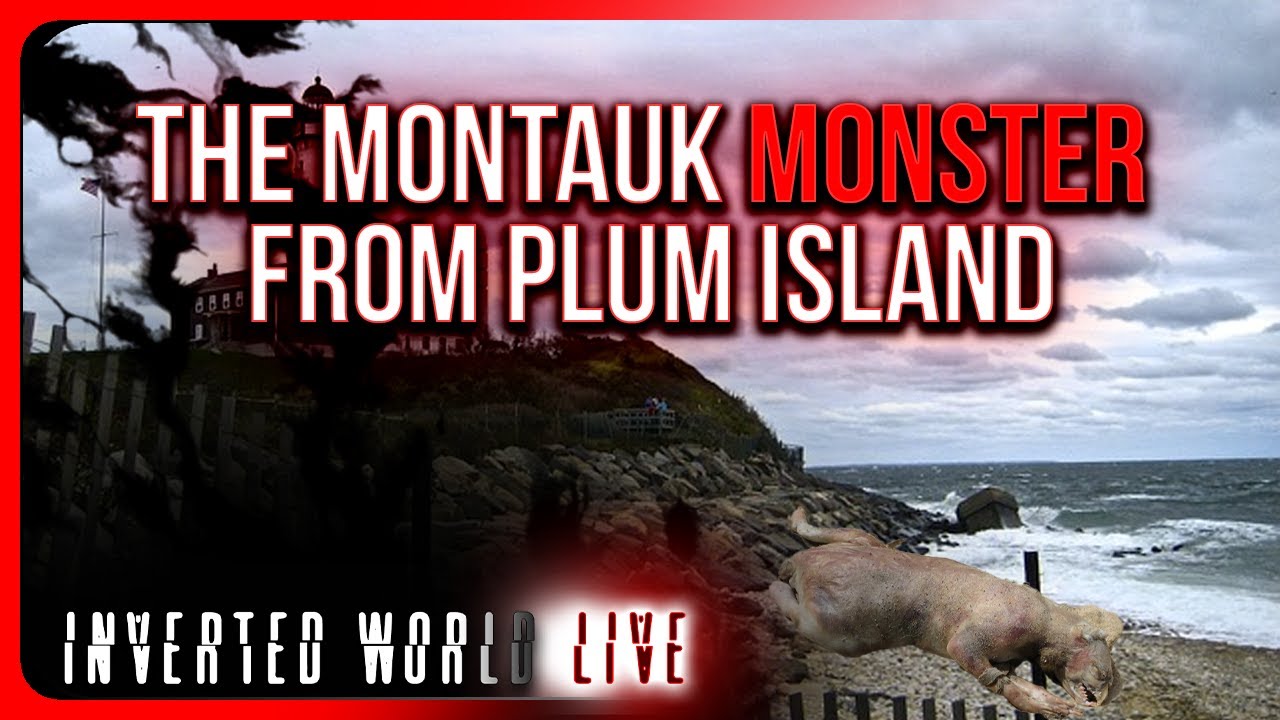 The Montauk Monster From Plum Island - YouTube