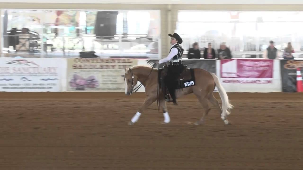 140228 Molly Morgenstern on RC Fancy Step NP Derby Score 146 - YouTube