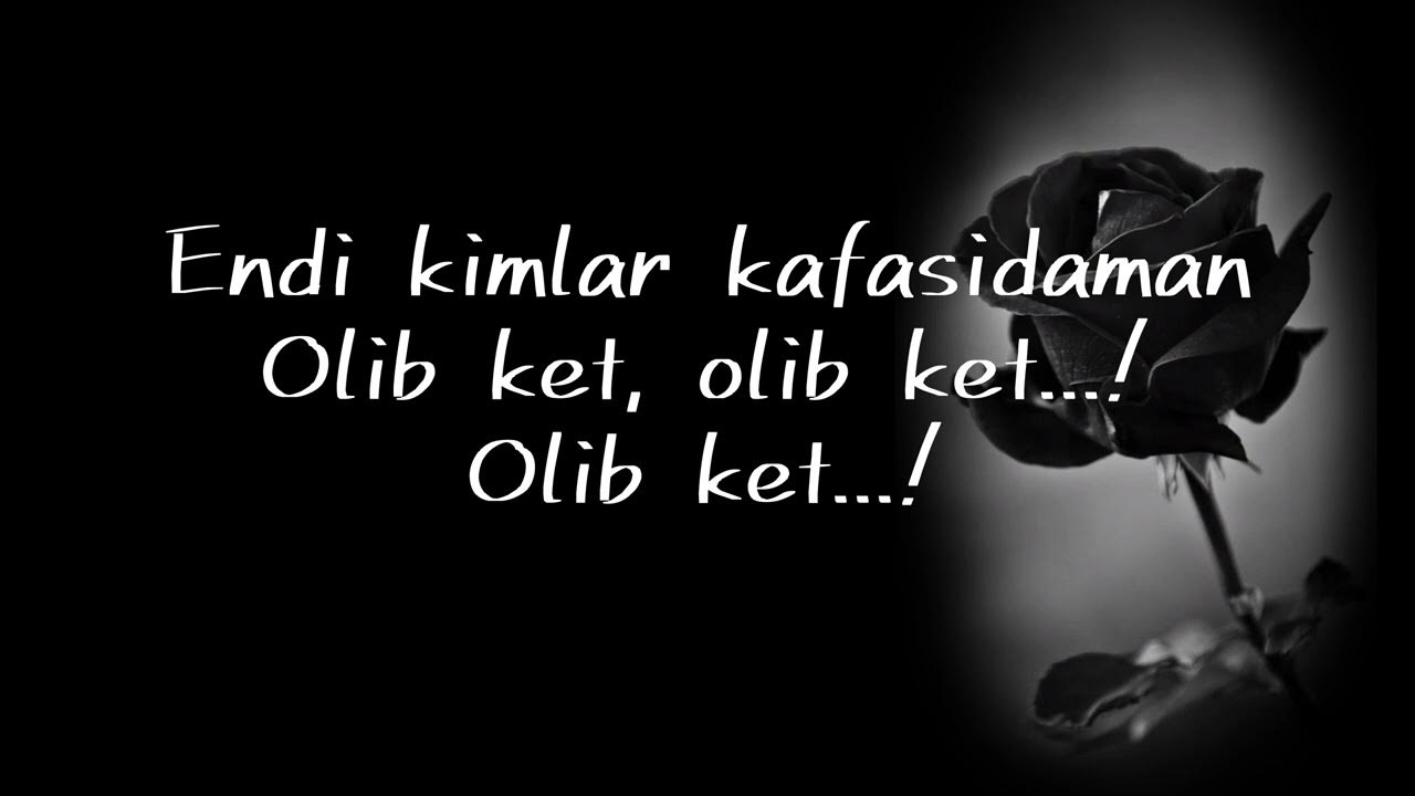 Ziyoda va Xamdam Sobirov qora atirgul lyrics - YouTube