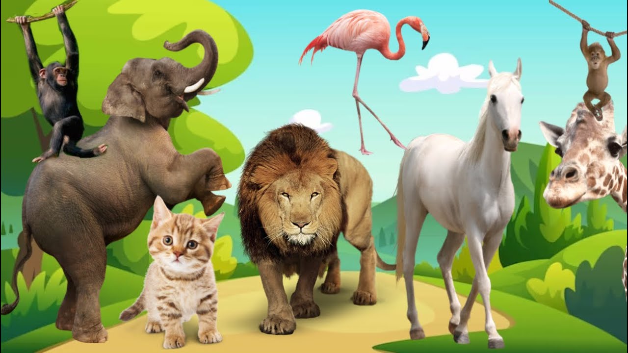 Baby farm animal moments: , elephant, tiger , lion , cow , squirrel ...