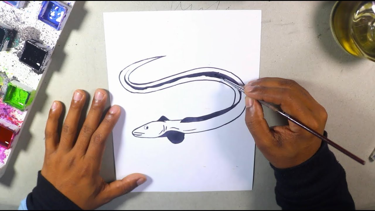 How to draw an Electric EEL - YouTube