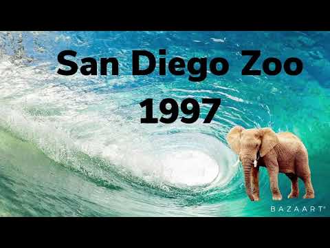 San Diego Zoo 1997