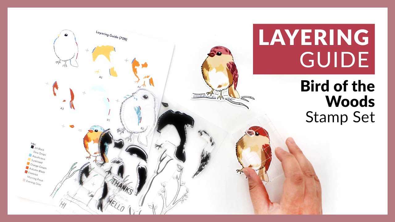 How to Stamp Bird of the Woods Layering Stamps for Card Making - YouTube