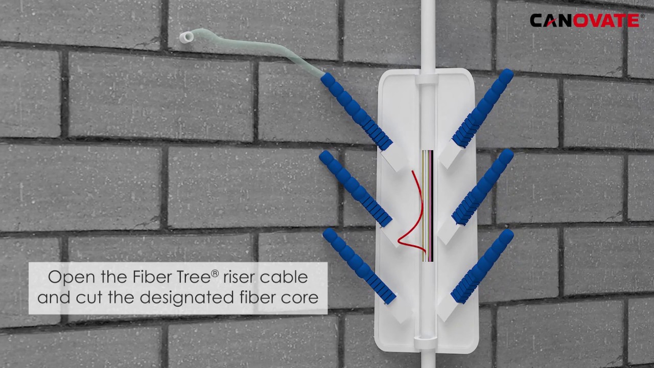 CANOVATE FIBER TREE SYSTEM - YouTube