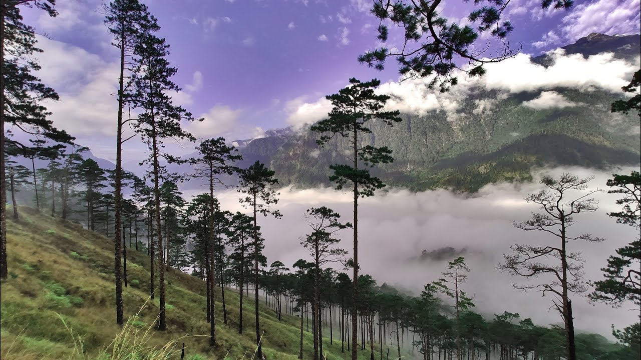 Dong Valley (Arunachal Pradesh) - YouTube