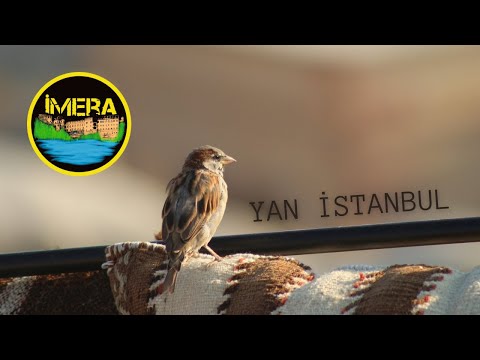 İmera - Yan İstanbul