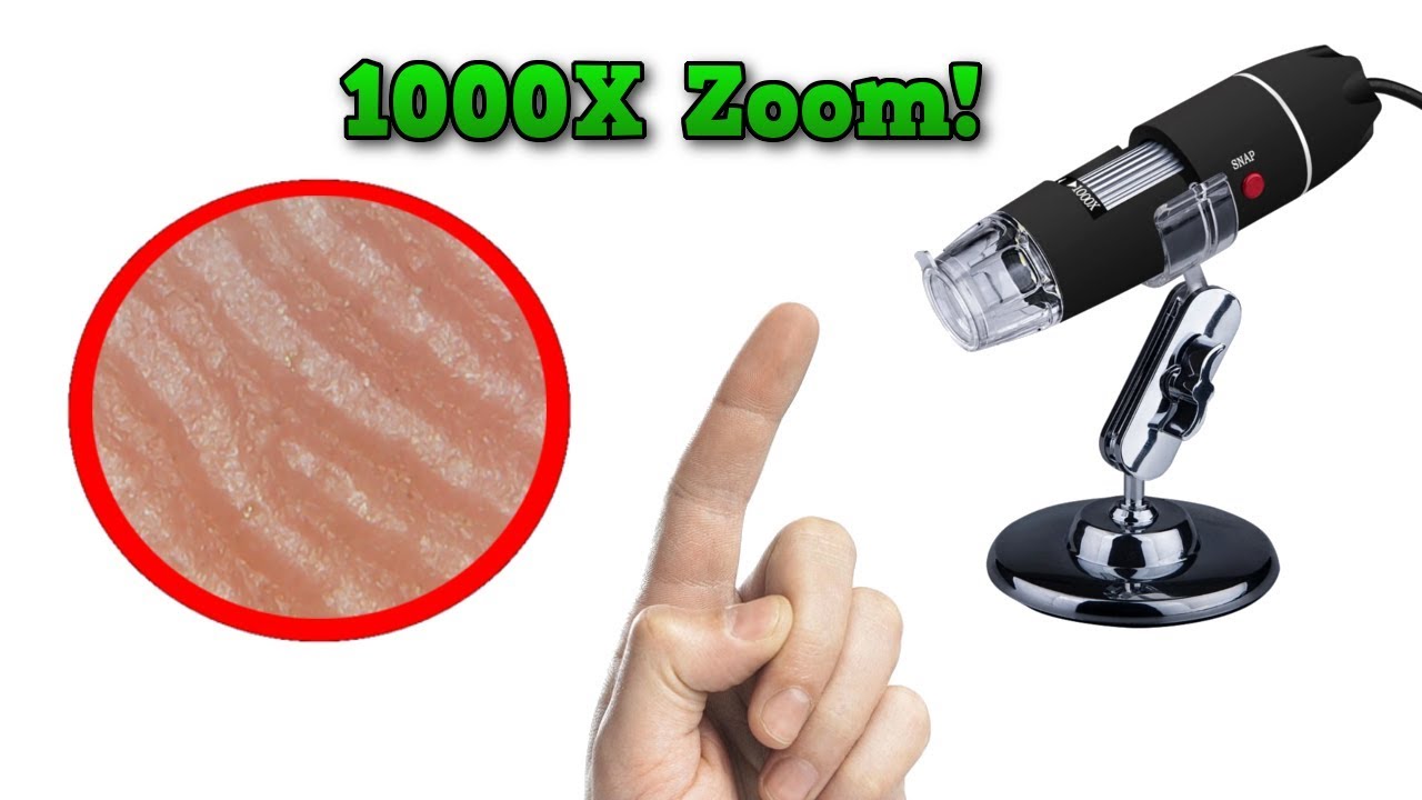 Close up on human body parts at 1000x zoom - what are they? - YouTube