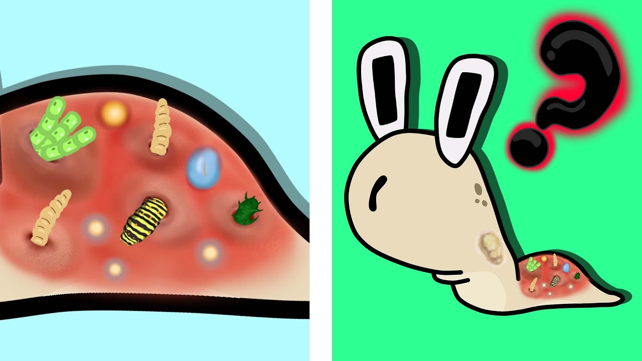 Alphabet lore | alphabet small q and therapeutic journey for alphabet ...