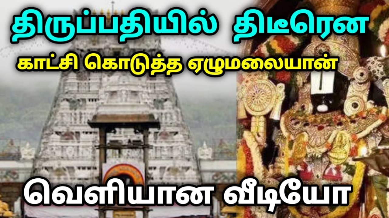 திருப்பதியில் திடீரென வந்த ஏழுமலையான் ! வெளியான வீடியோ ! thirupathi ...