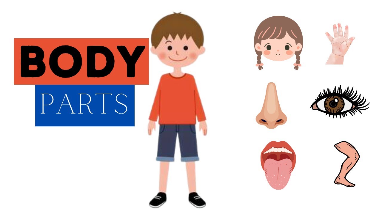 Learn Newborn baby body parts name for kids or children in English ...