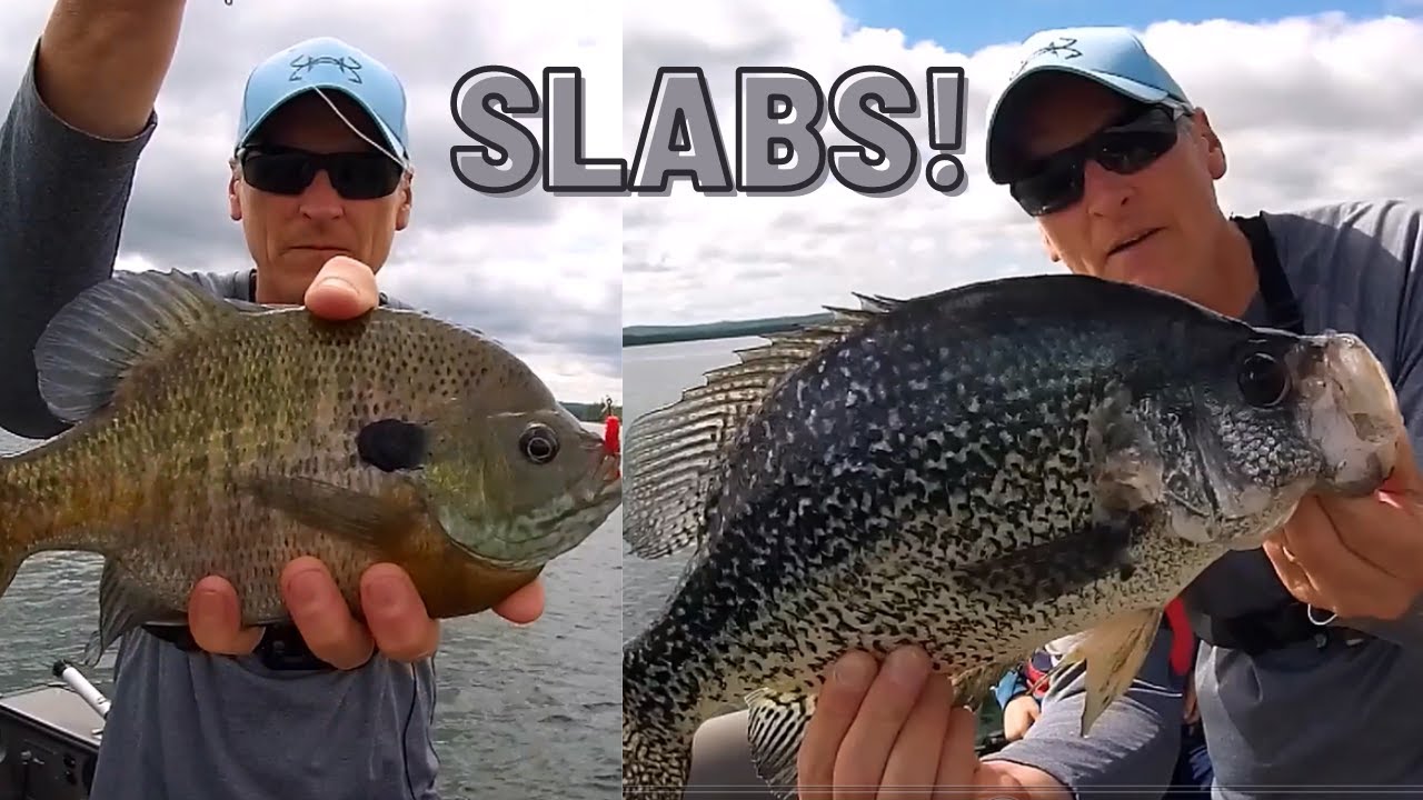 GIANT Slab Bluegills Crappie (Biggest of the Year!) - YouTube