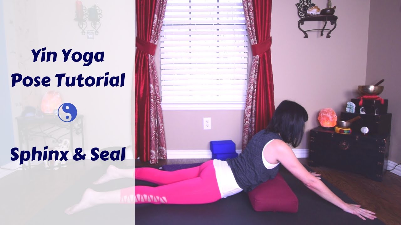 Yin Yoga Pose Sphinx & Seal Tutorial | Modifications & Props - YouTube