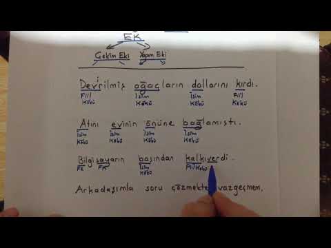 Sözcükte Yapı Metin İncelemesi 1