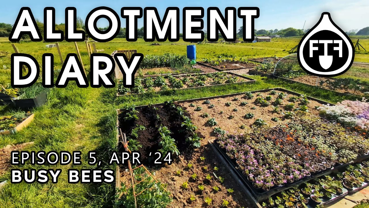 Busy Bees | Fig Tree Farm Allotment | Episode 5, April 2024 - YouTube