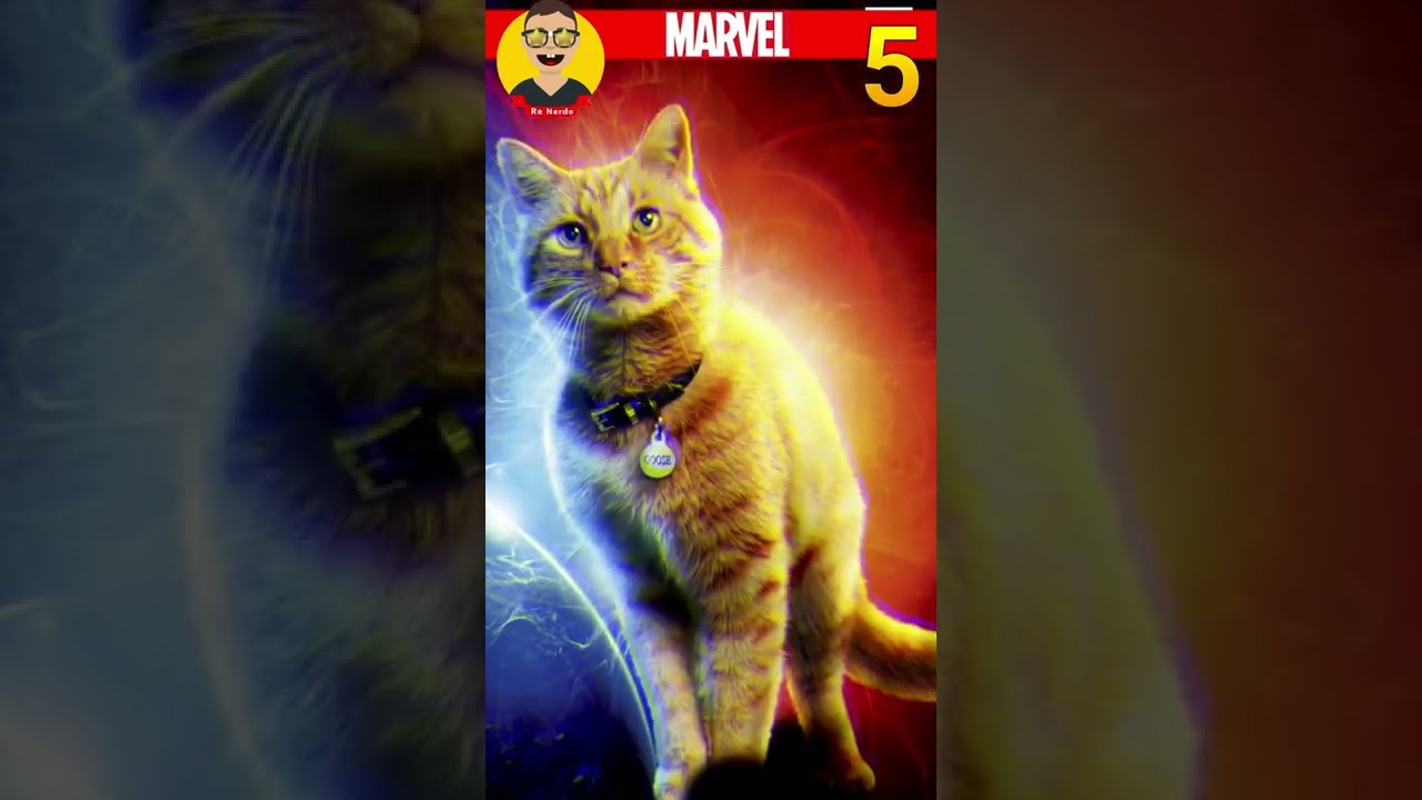 5 Datos Increíbles de Chewie o Goose 😸 que Debes de Saber en Marvel ...