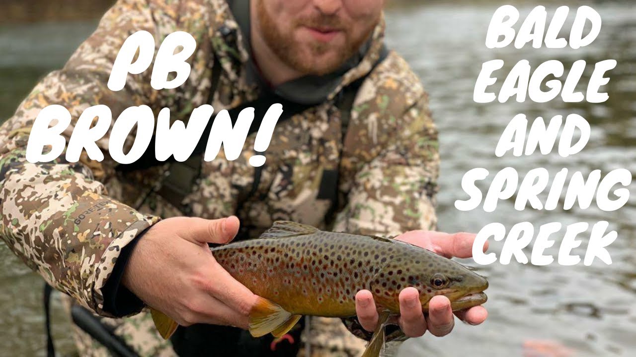 PB BROWN TROUT, fishing wild trout streams in central PA. Part 1. - YouTube