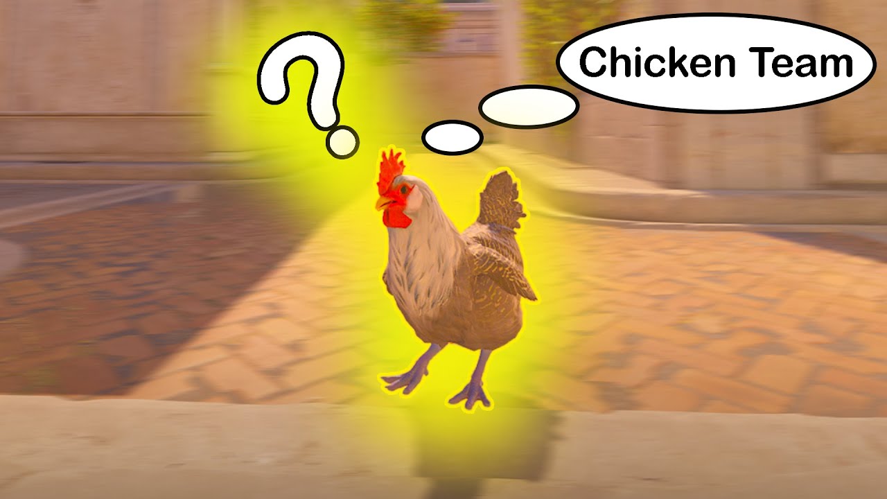 Chicken Team in Counter Strike 2 | I played with the bad team in CS2 ...