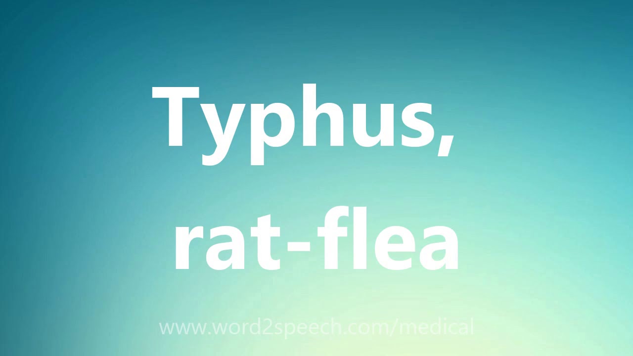 Typhus, rat-flea - Medical Meaning and Pronunciation - YouTube