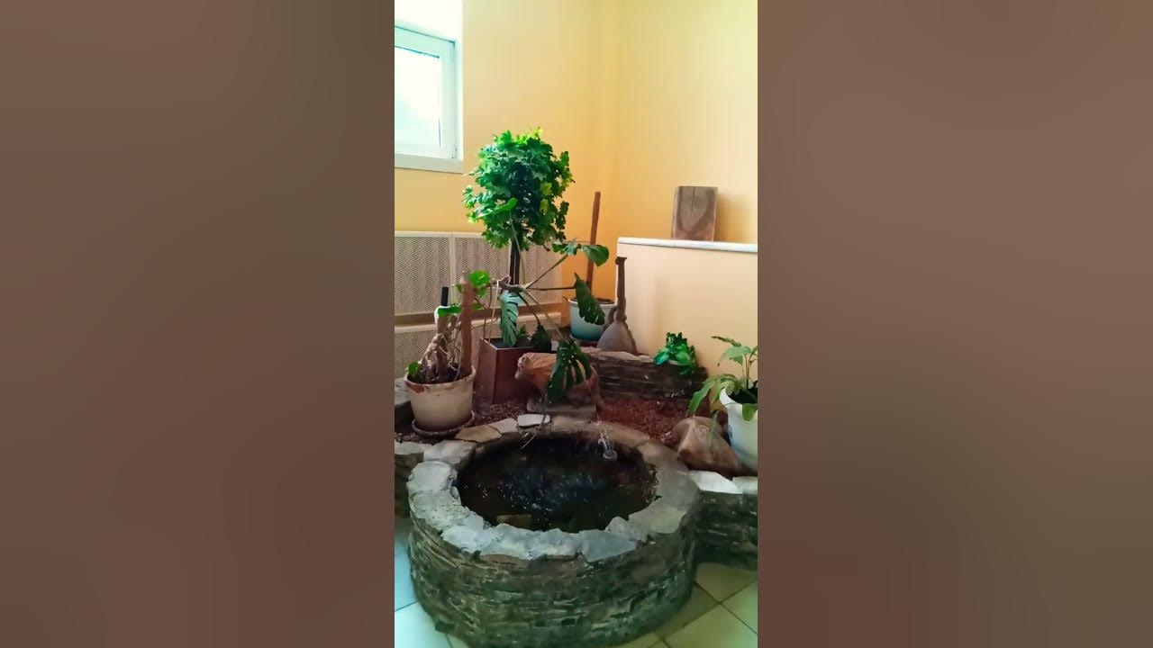 АЛЛОПЛАНТ и райский уголок. - YouTube