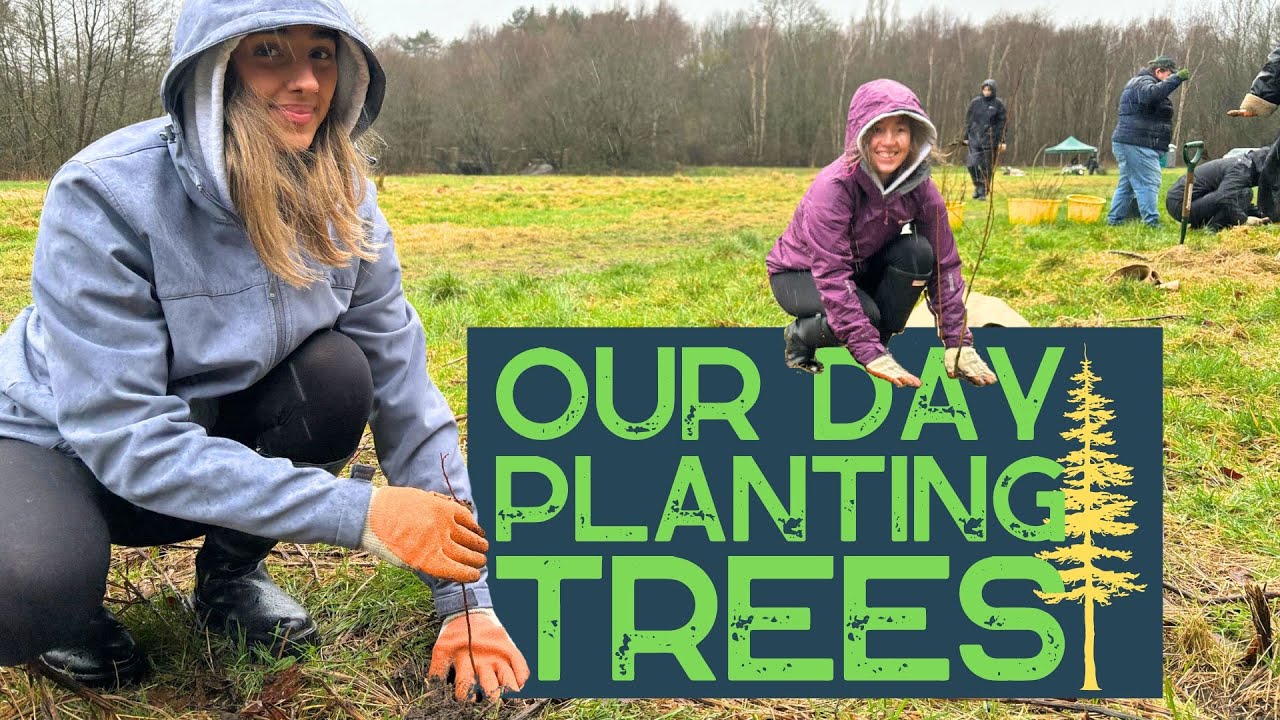 Our Day Planting Trees - YouTube