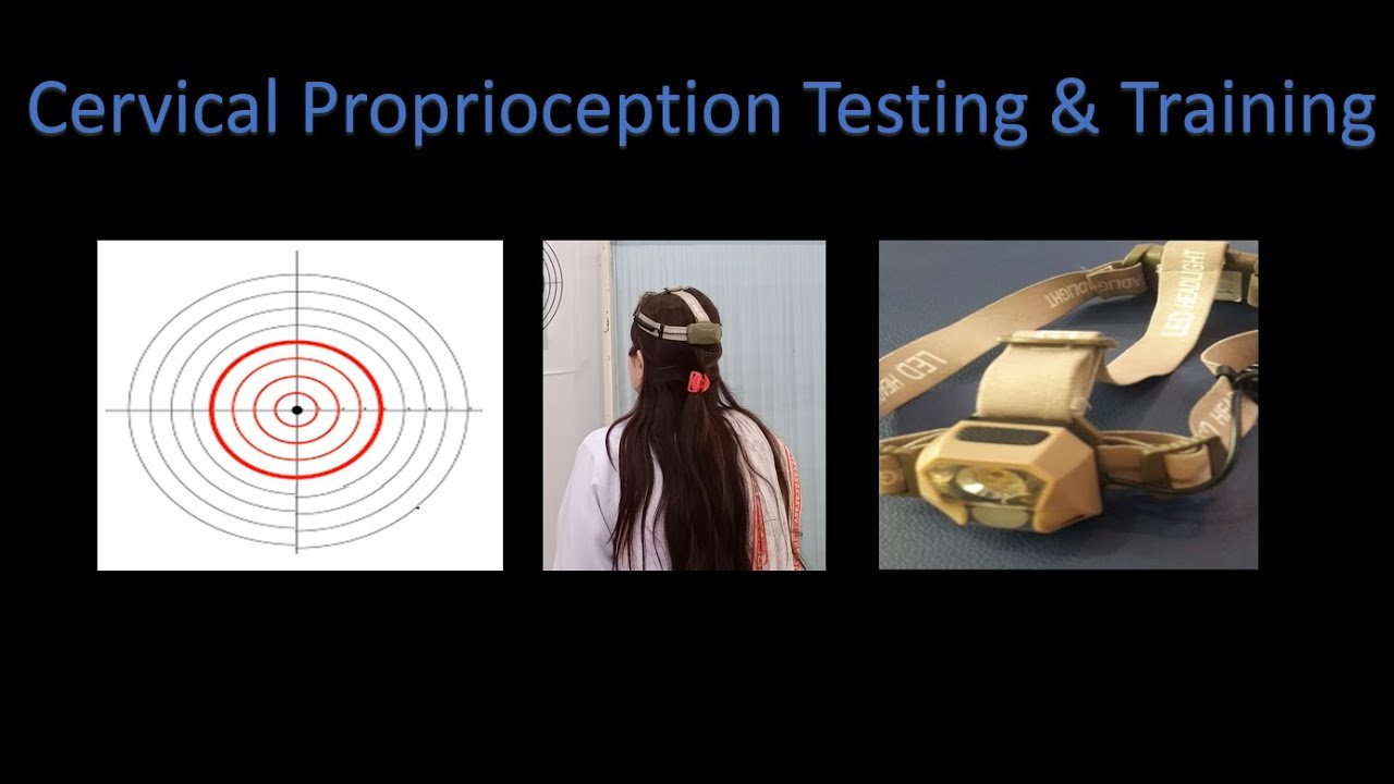 Cervical Spine Rehabilitation: Assessing and Correcting Joint Position ...