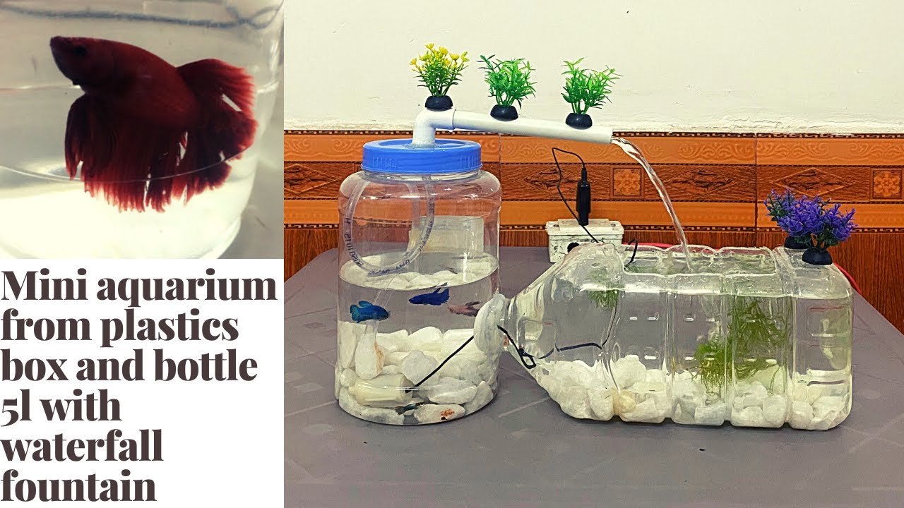 Mini aquarium from plastics box & bottle 5l with waterfall fountain ...