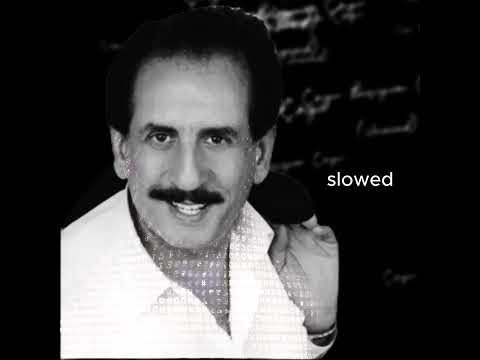 Erkan Ocaklı - Çayır Biçiyom Çayır (slowed + reverb)