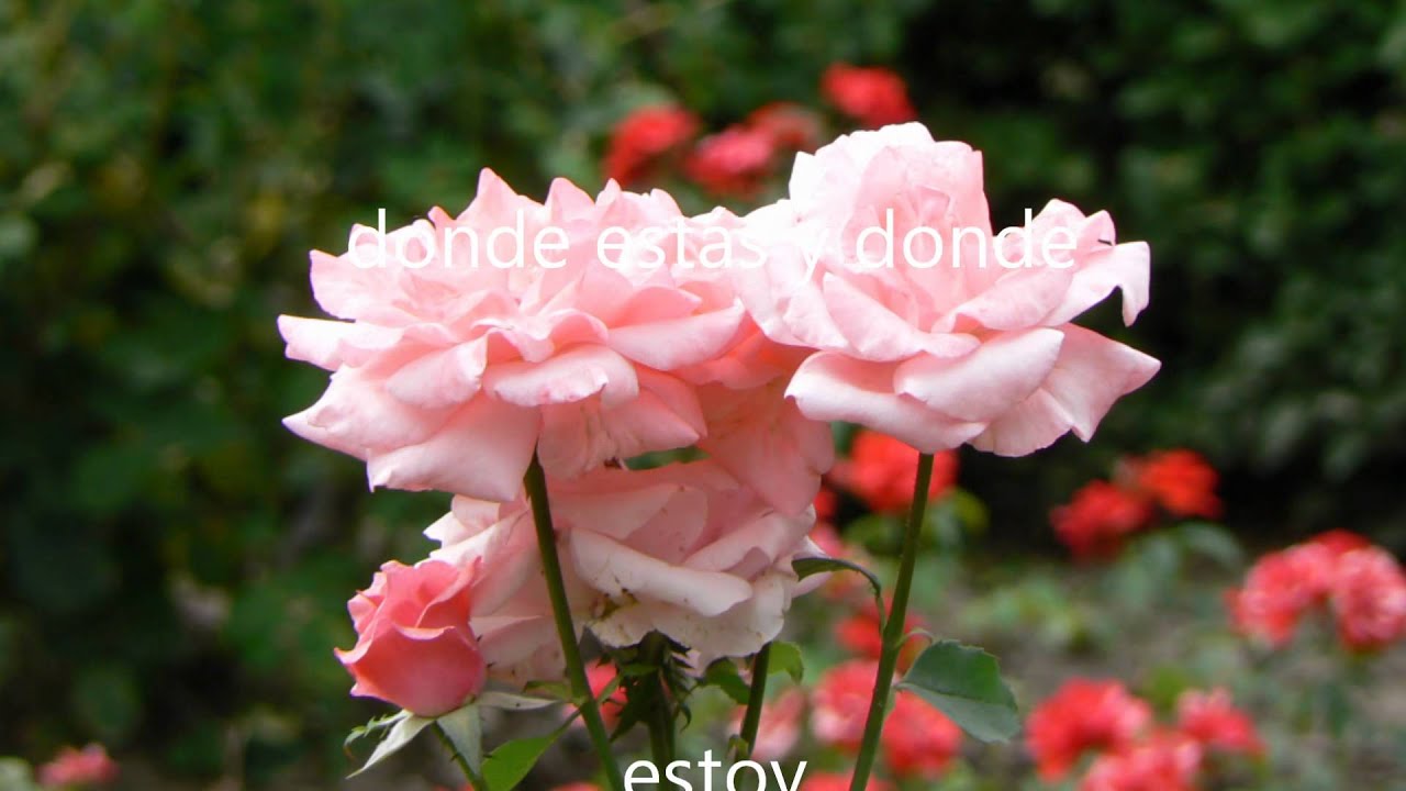 I m Going Home YouTube i-m-going-home-youtube