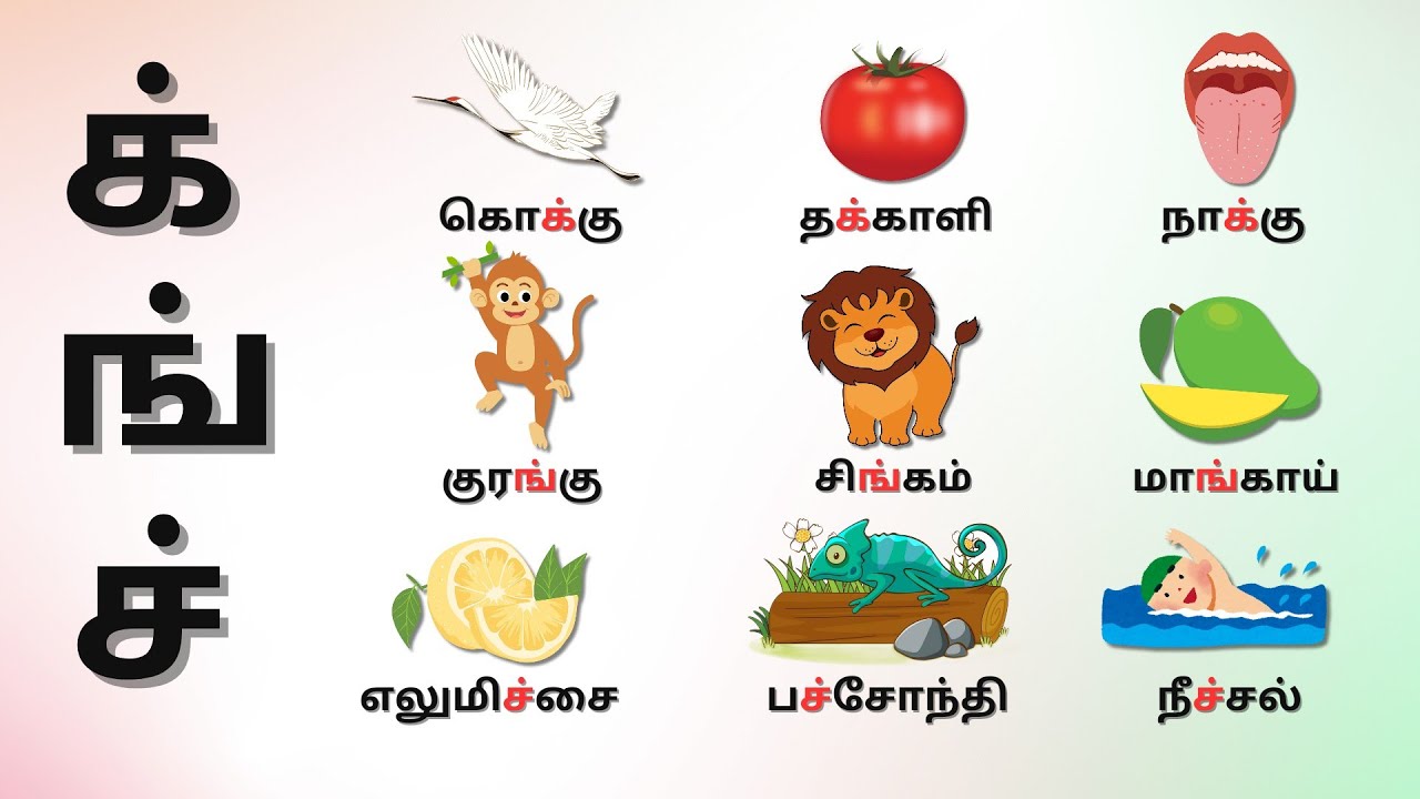 மெய் எழுத்துககள் | க் ங் ச் ஞ் | Tamil Alphabets | Learn க் to ன் - YouTube
