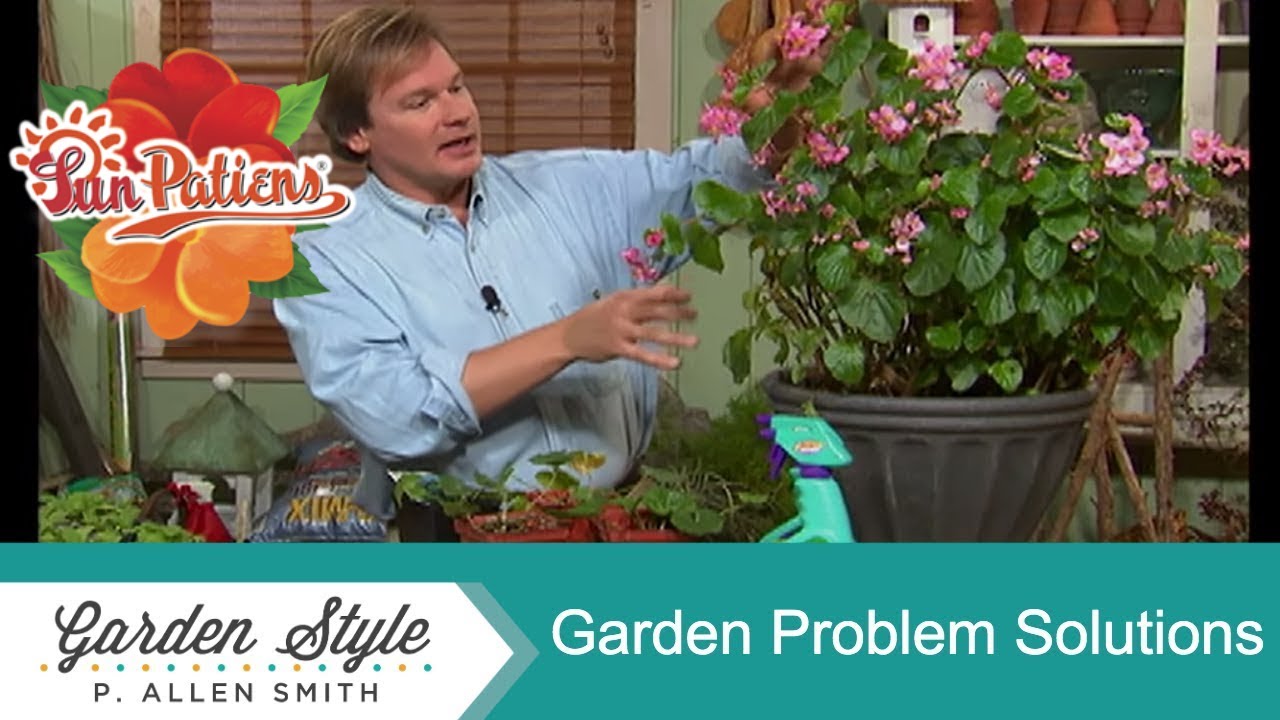 Garden Problem Solutions| Garden Style (912) - YouTube