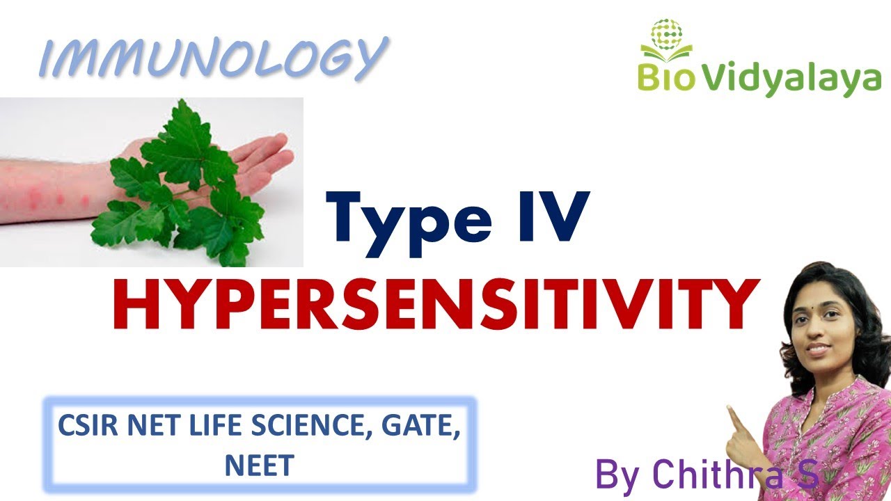 TYPE IV HYPERSENSITIVITY | CELL MEDIATED HYPERSENSITIVITY | DELAYED ...
