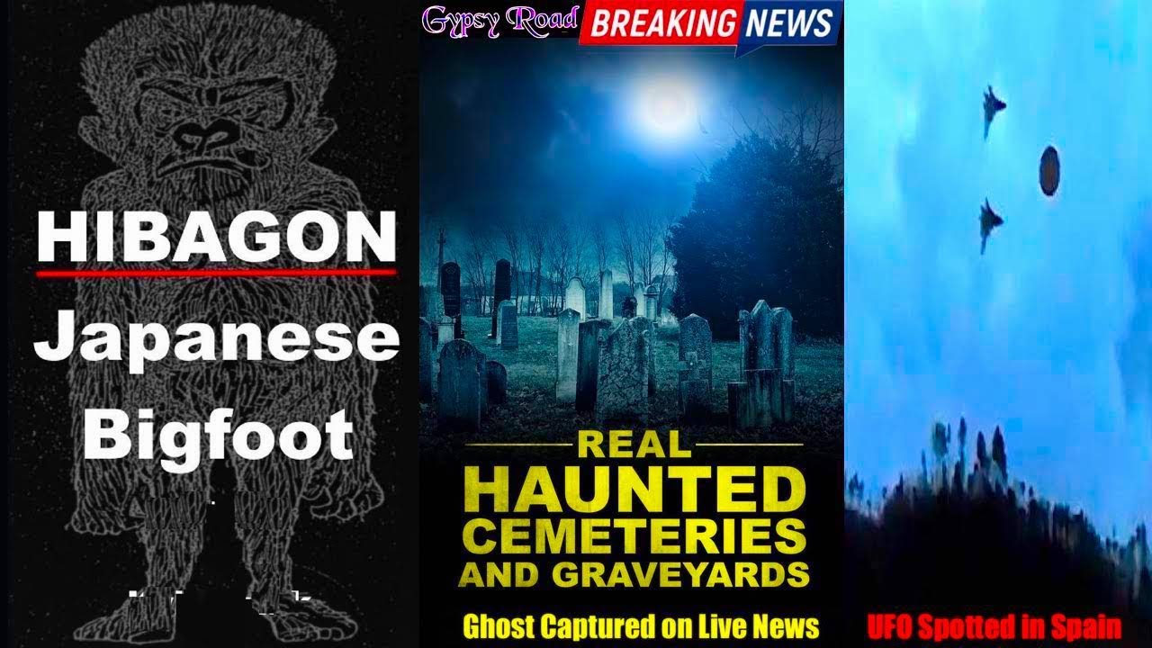 Breaking News! What is The Hibagon Japanese Bigfoot? Real Haunted ...