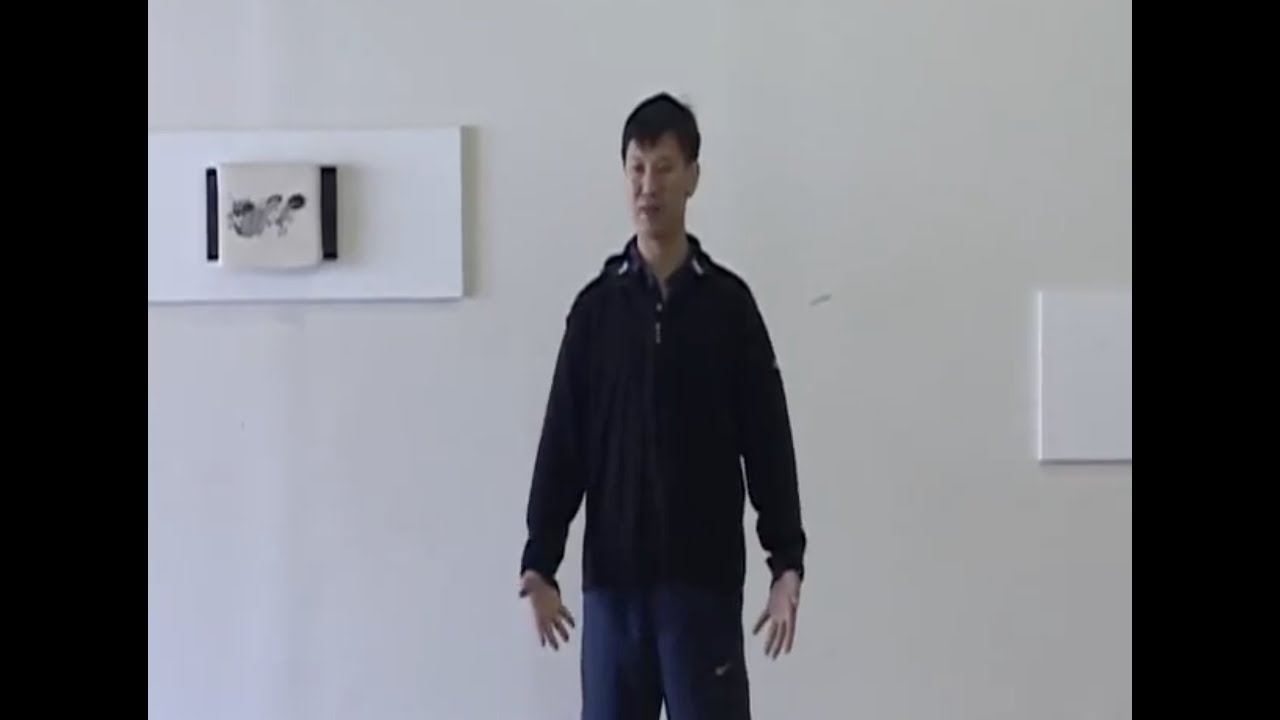 1 - Master Yang Jun - Opening & Ward off in Spanish - YouTube