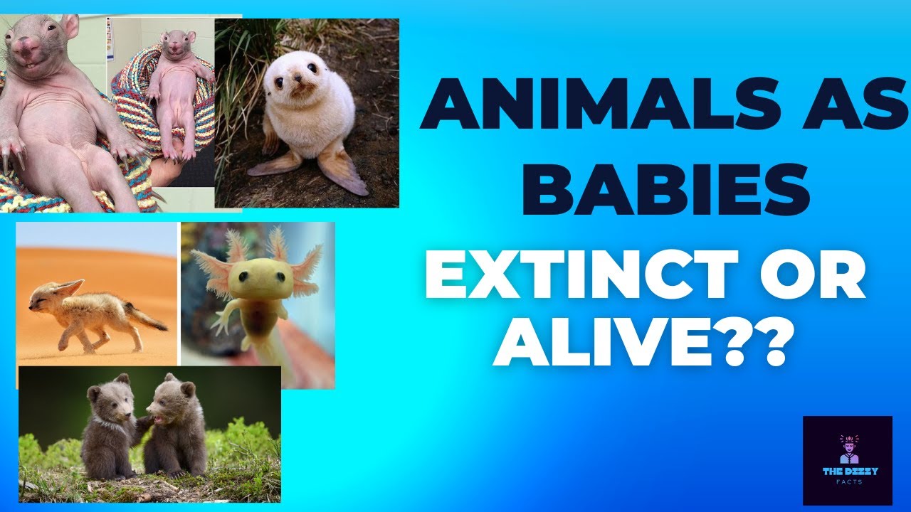 Animals as Babies (All About Animals ) Extinct or Alive Animals 2023 ...