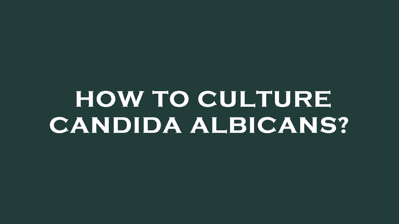 How to culture candida albicans? - YouTube