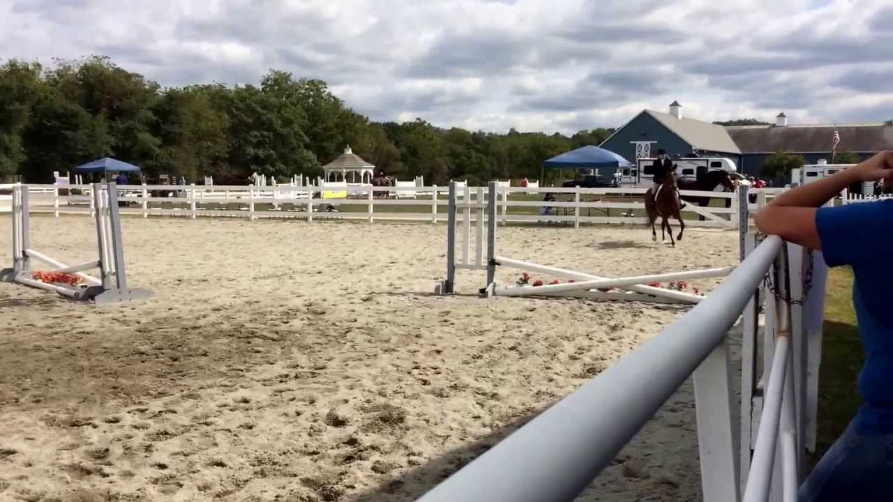 Lydia - 2nd trip Cross Rail Hunter - YouTube