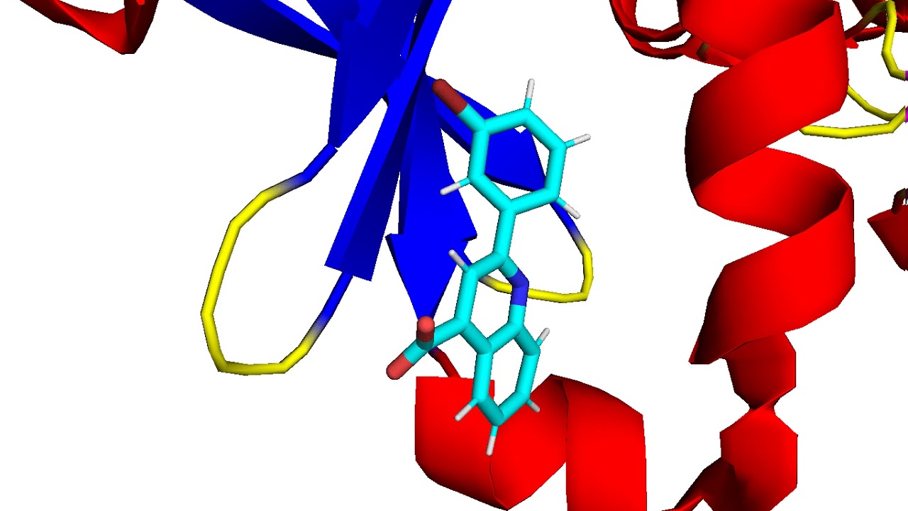 Aurora Kinase - pymol movie - YouTube