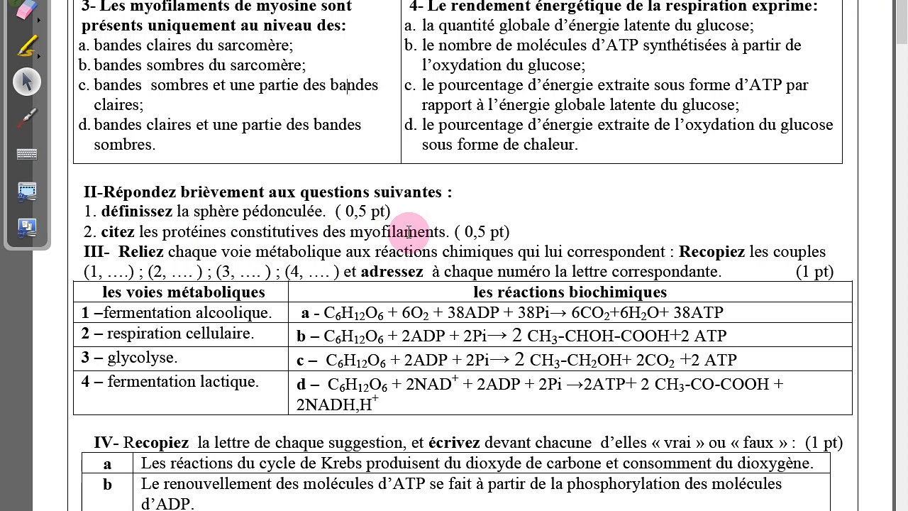 SVT:QCM sur la consommation de la matiere organique et flux d'energie ...
