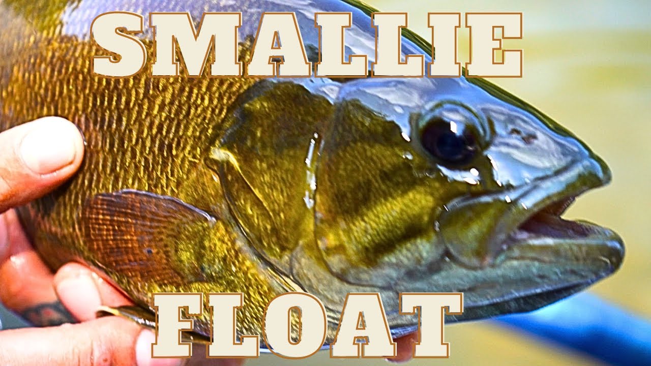 Super Fun Smallmouth Bass Float and Fly Fishing!!! - YouTube