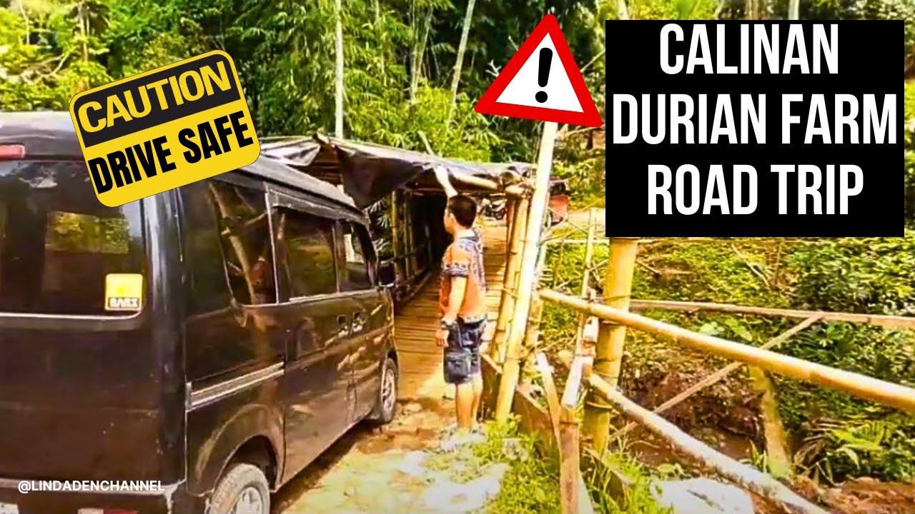 ROAD TRIP CALINAN DURIAN FARM - PART 1 - YouTube