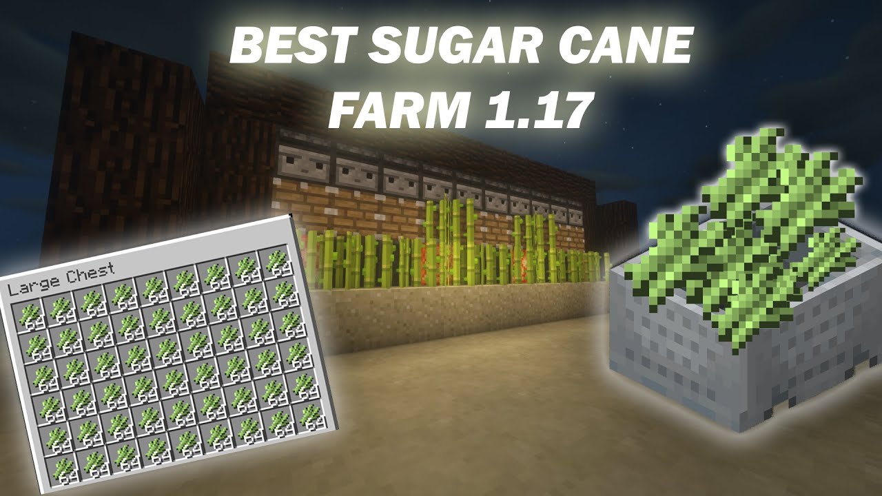 Minecraft | *BEST* Sugar Cane Farm Tutorial on Minutes | Fully ...