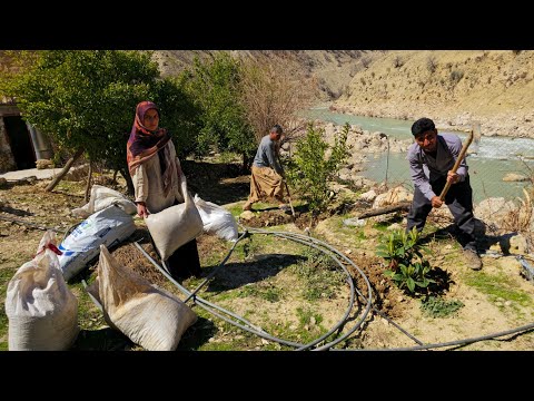 Nomadic life: 🏞cleaning and tending the rural family garden and fertilizing the trees🌱🌳