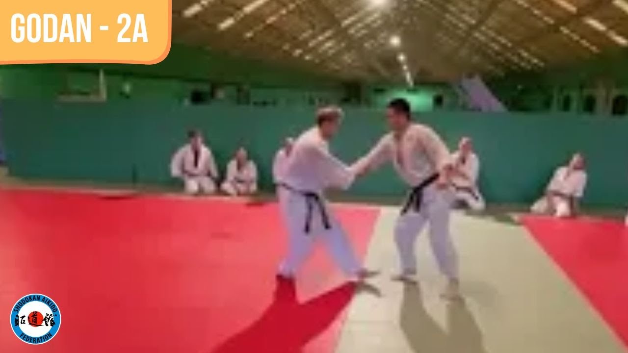 Godan (pt.2a) - goshin ho tekubi dori waza - straight grip (explanation) - YouTube
