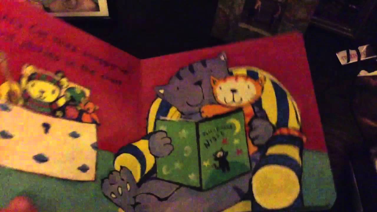 Goodnight Poppy Cat - YouTube