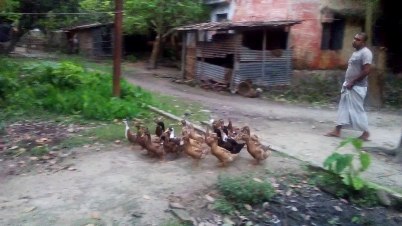 CHOTO DADA - YouTube