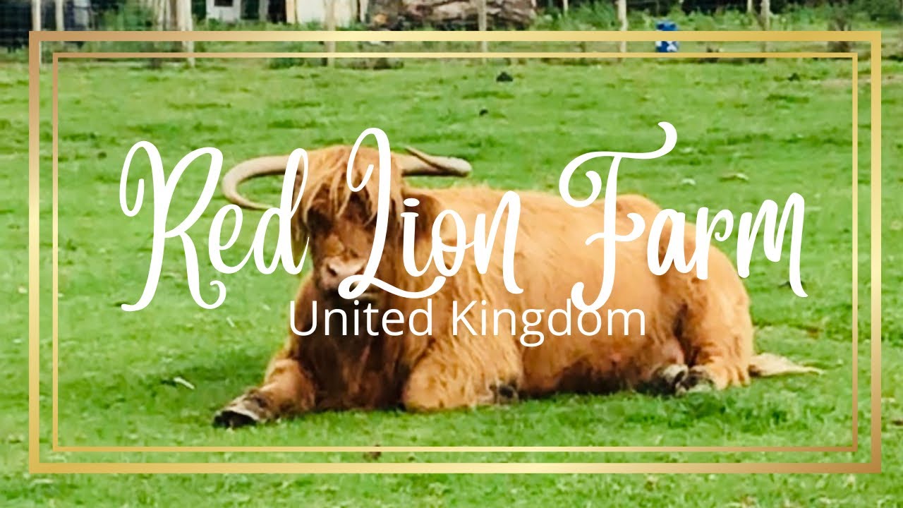 Red Lion Ice Cream Farm 3 - YouTube