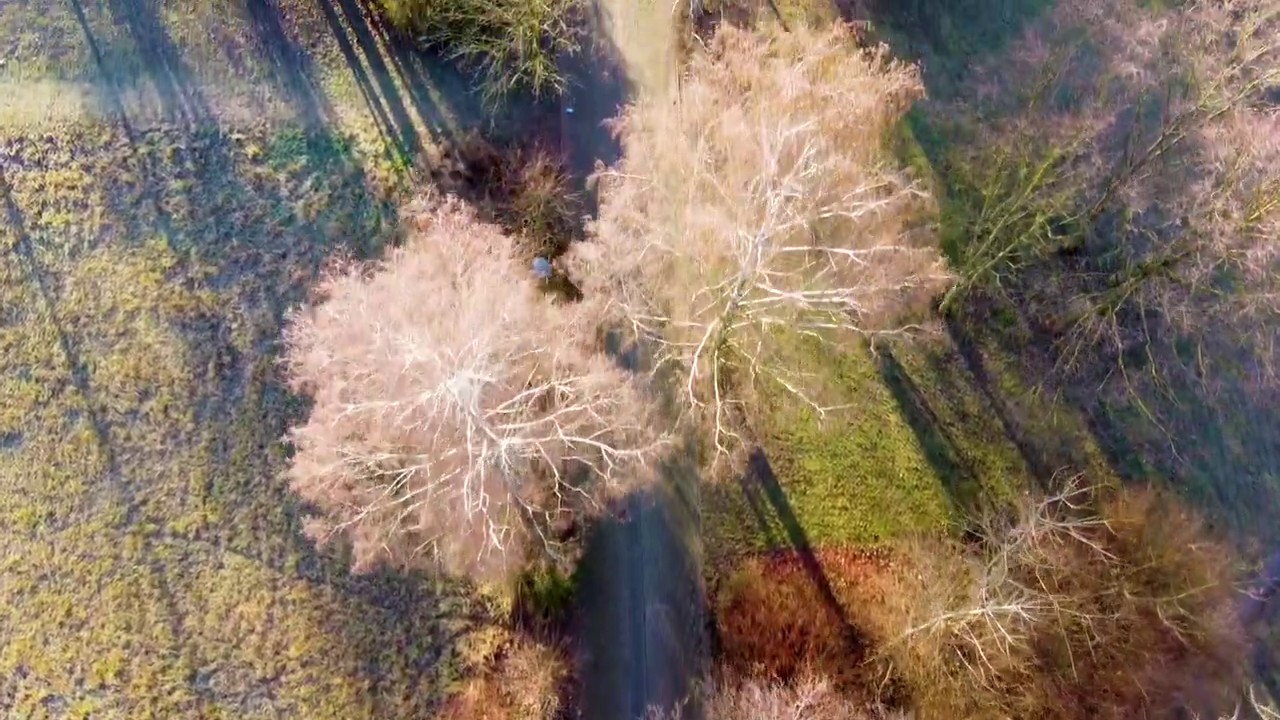 Nature from above - YouTube